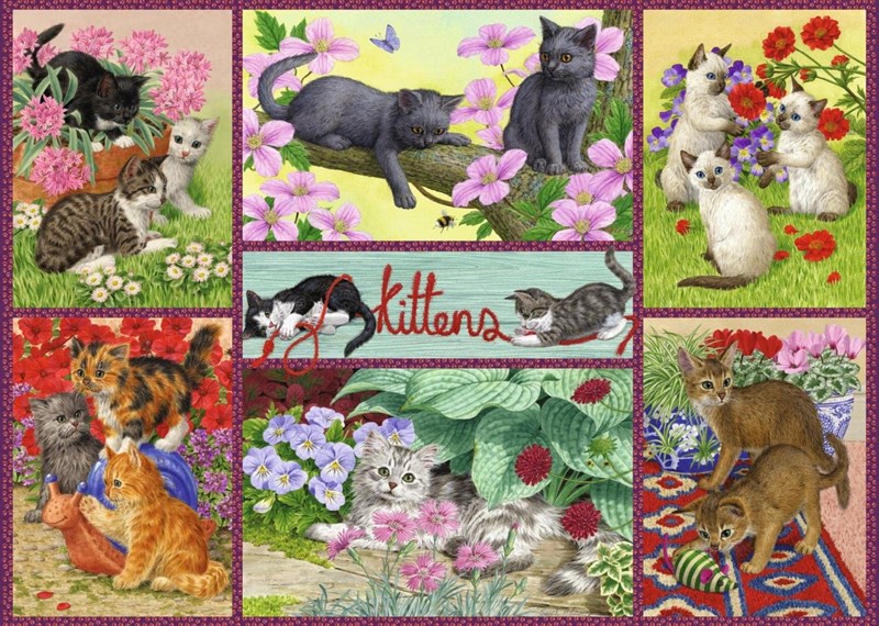 Falcon (11211) - Sarah Adams: "Playful Kittens" - 500 pieces puzzle